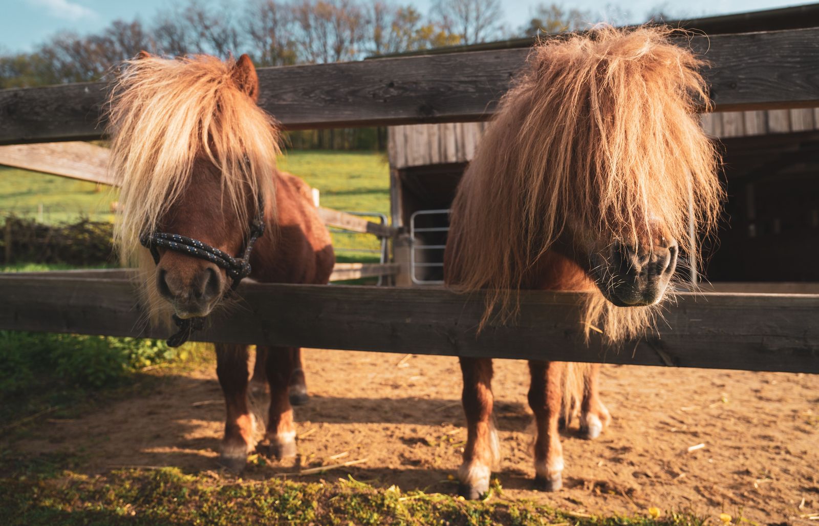 The seeds of sustainability: Exploring a self-sufficient farm ...