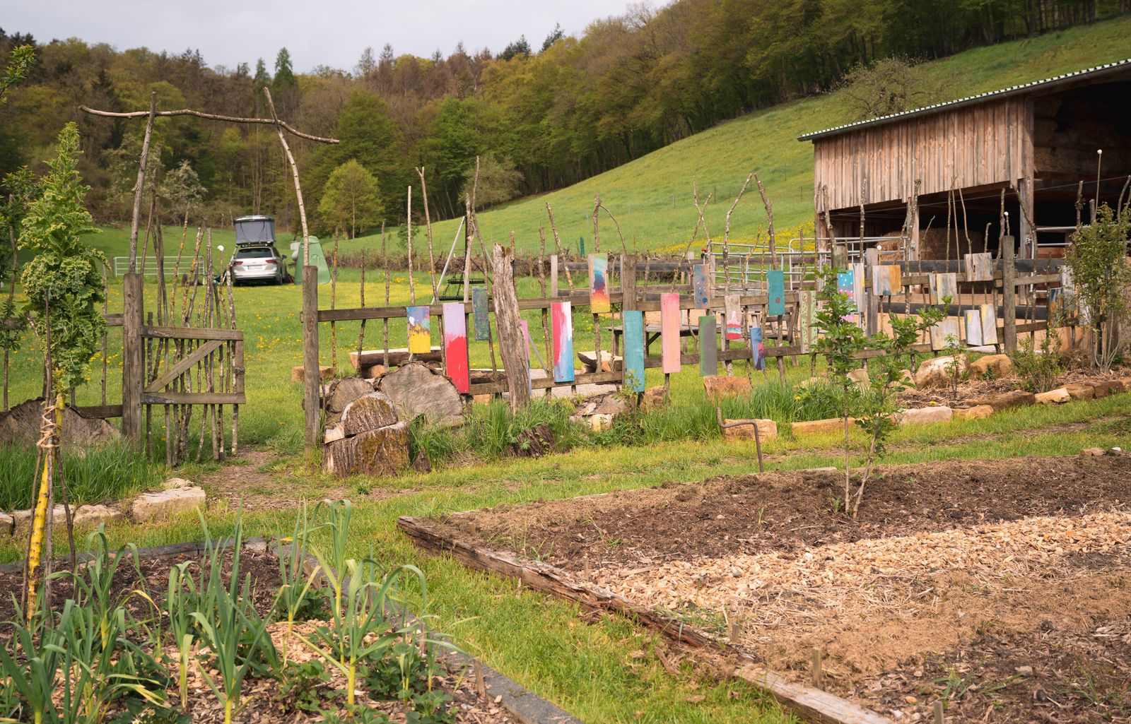 The seeds of sustainability: Exploring a self-sufficient farm ...