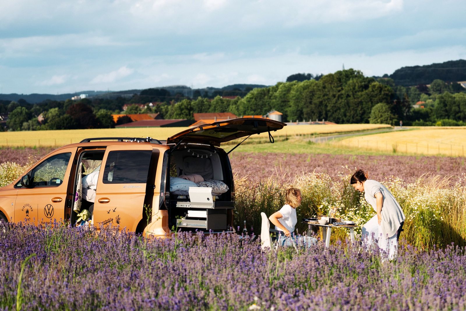 "Once in a Lifetime" experience: Sweet dreams amidst lavender fields ...
